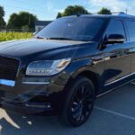 Niagara Buffalo Airport Arrival: Private Transfer to Niagara Falls Ontario - Who Is This Transfer Best For?
