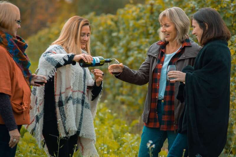 Niagara, Canada: Half-Day Winery Tour with Tastings - Key Points