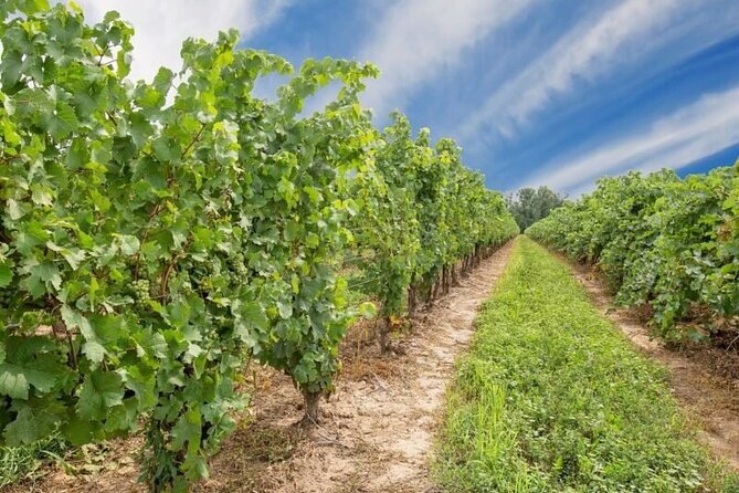 Niagara County Wine Tour and Tasting - What’s Included and What’s Not
