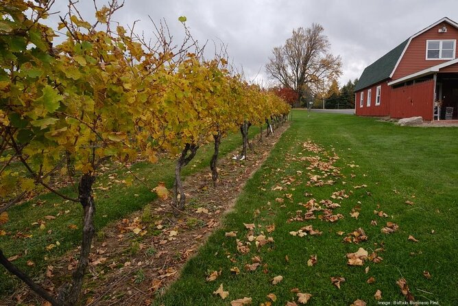 Niagara County Wine Tour and Tasting - Authentic Insights from Reviews