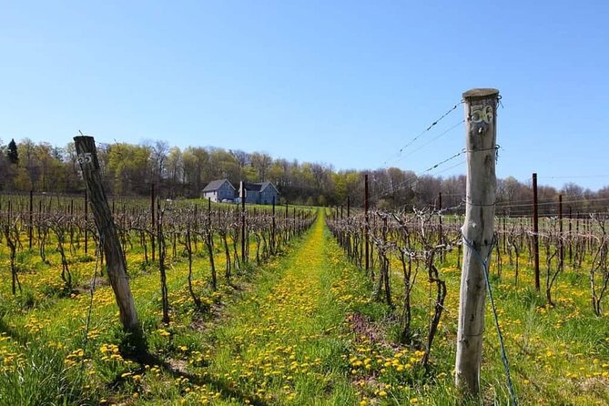 Niagara County Wine Tour and Tasting - Who Should Consider This Tour?