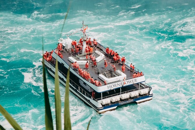 Niagara Falls Maid of the Mist & Cave of the Winds Tour - Who Would Love This Tour