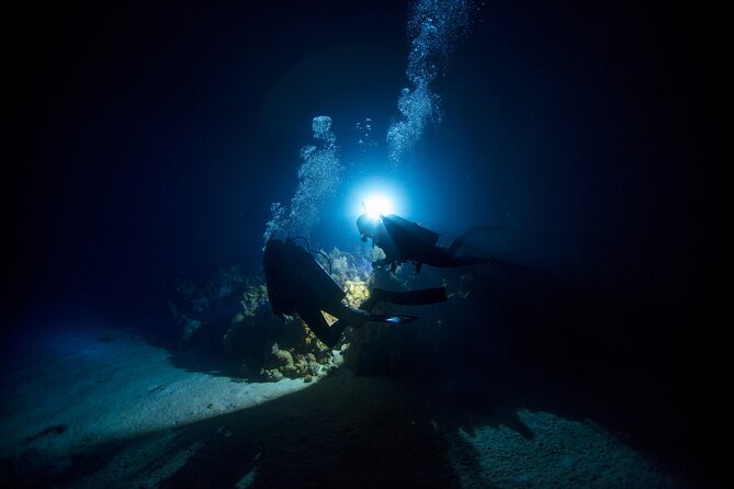 Night Dive Adventure in Oahu - Intro: Exploring Oahu’s Nighttime Underwater World
