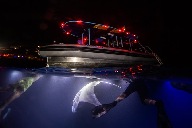 Night Manta Ray Experience - The Practical Details