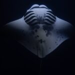 Night Manta Ray Snorkel with Videos - The Experience: Why It’s Special