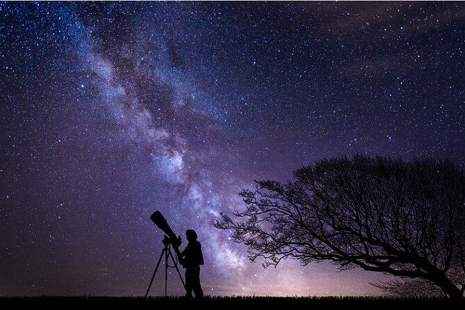 Night Sky Stargazing Tour in Punta Gorda Florida - Setting the Scene: What to Expect on the Tour
