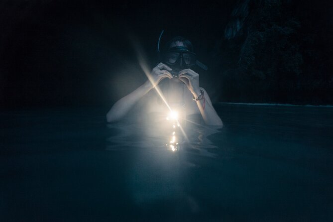 Night-Time Snorkel at TurtleTown with Stars, Lights, and Photos - Itinerary Breakdown and Practical Details