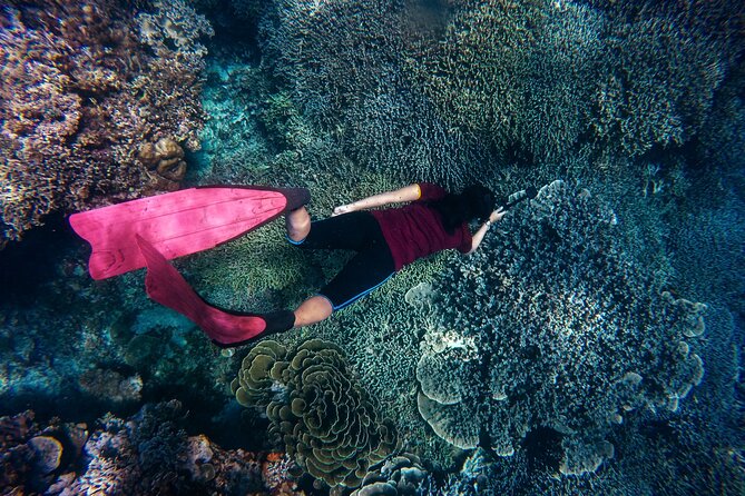 Night-Time Snorkel at TurtleTown with Stars, Lights, and Photos - Final Thoughts