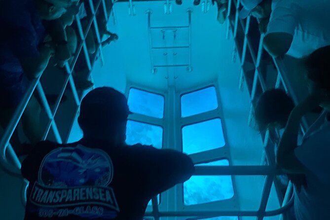 Night Tour Glass Bottom Boat in Islamorada - Key Points