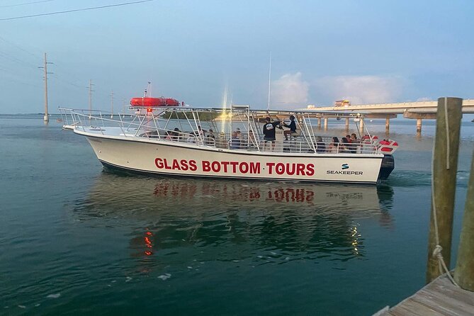 Night Tour Glass Bottom Boat in Islamorada - Exploring the Details of the Night Glass Bottom Boat Tour