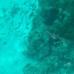 Night Tour Glass Bottom Boat in Islamorada - Is This Tour Worth the Price?