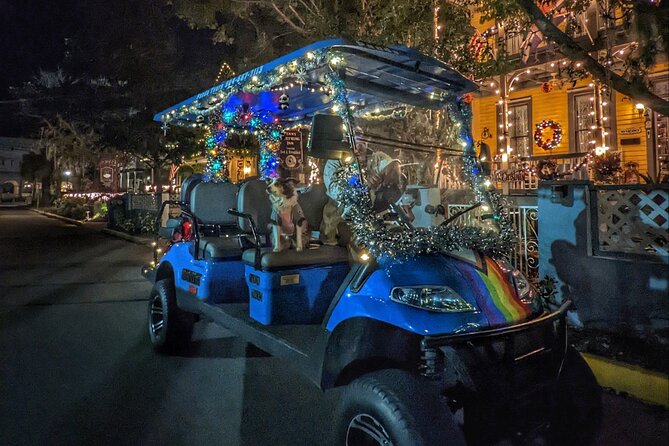 Nights of Lights Private Golf Cart Tour for up to 5 people! - The Price and Value