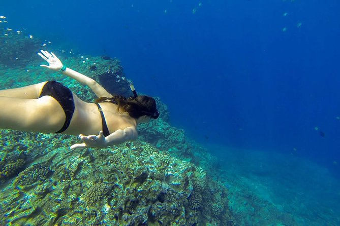 Ni'ihau and Na Pali Coast Snorkel Boat Tour - Who Will Love This Experience