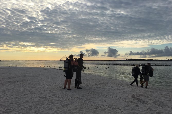 No Experience Required to Discover Scuba in Florida - What Does the Itinerary Look Like?
