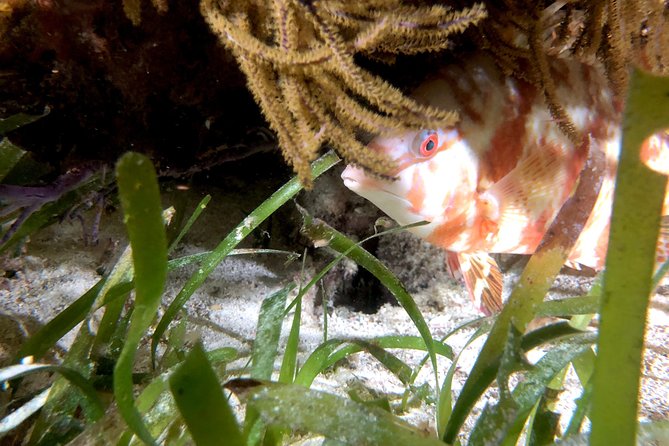 No Experience Required to Discover Scuba in Florida - Final Thoughts
