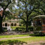 NOLA's BIG 4 PRIVATE CITY TOUR, NO GHOST, ONLY FACTS! - City Park: Nature and Art in the Big Easy