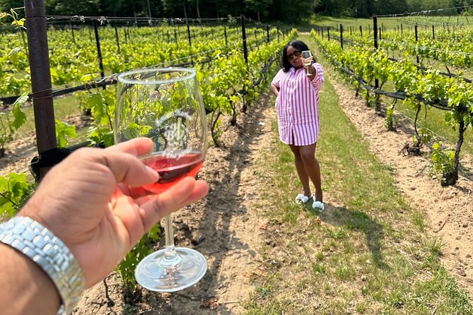 NON BUS Traverse City Wine Old Mission Peninsula Wine Tour - What Makes This Tour Stand Out?