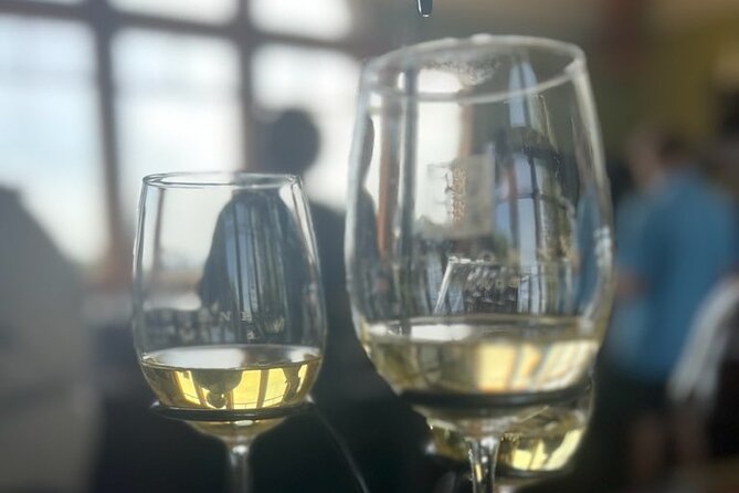 NON BUS Traverse Sunset Wine Tour 3 Winery Old Mission Peninsula - The Sum Up