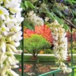 North Atlanta: Gibbs Gardens Self-Guided Slingshot Tour - The Scenic Drive: Georgia Countryside at Its Best