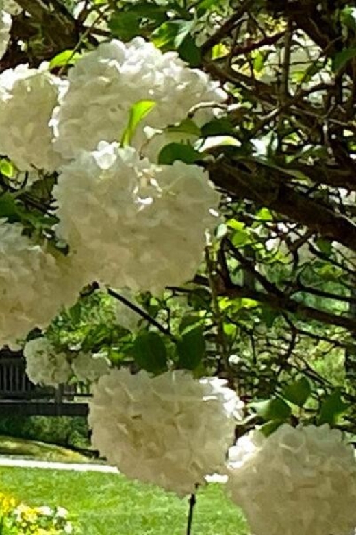 North Atlanta: Gibbs Gardens Self-Guided Slingshot Tour - Arrival at Gibbs Gardens: A Botanical Wonderland