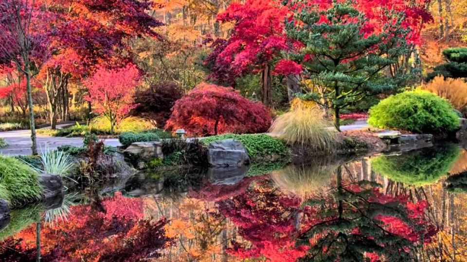 North Atlanta: Gibbs Gardens Self-Guided Slingshot Tour - The Return Journey