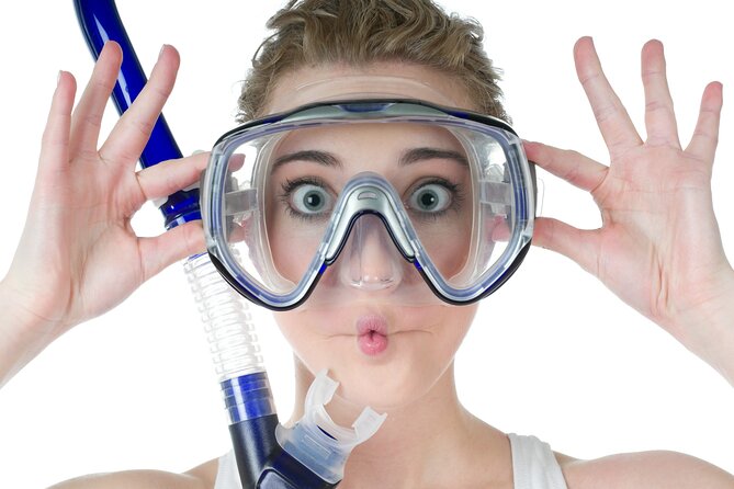 North Bay Snorkel - Exploring the North Bay Snorkel Experience
