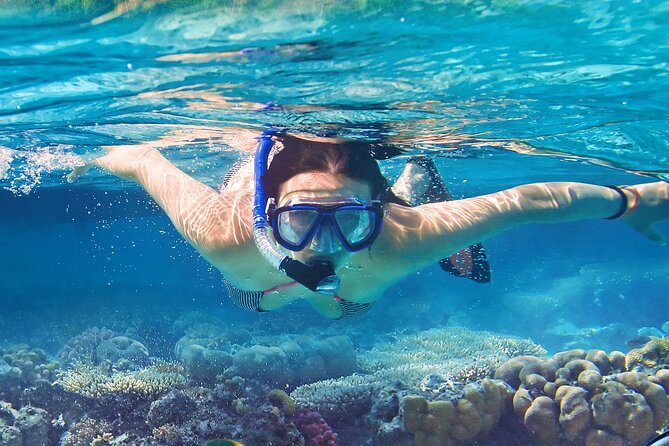 North Bay Snorkel - Key Points