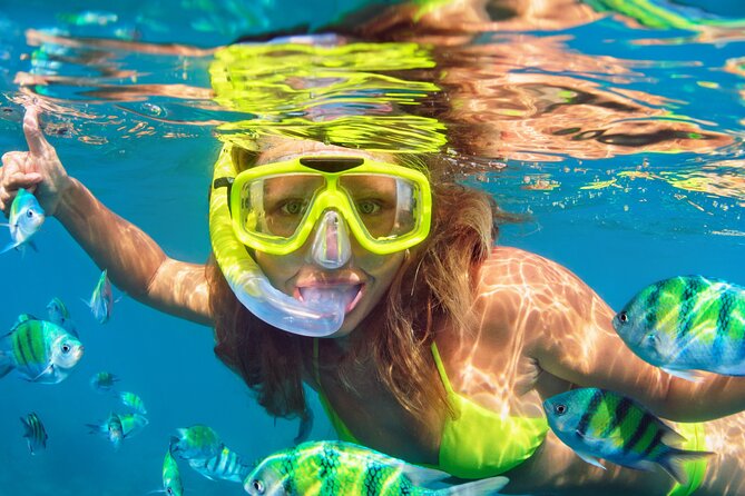 North Bay Snorkel - Handling the Practicalities