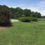 North Beach Scenic - Guided Walking Tour - FAQs