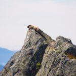 North Cascades Full Day Private Tour and Hike - Final Thoughts