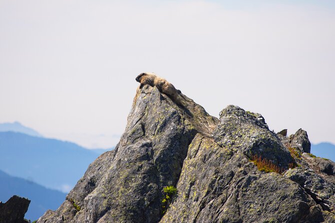 North Cascades Full Day Private Tour and Hike - Final Thoughts