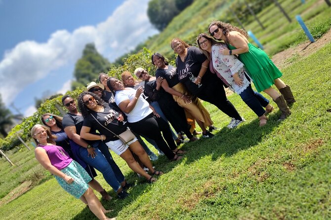 North Georgia Mountains Three Vineyard Wine Tasting Tour - An In-Depth Look at the North Georgia Mountains Wine Tour