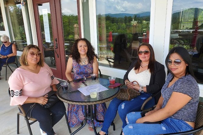 North Georgia Mountains Two Vineyard Wine Tasting Tour - The Value of the Experience