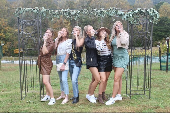 North Georgia Mountains Two Vineyard Wine Tasting Tour - Who Would Enjoy This Tour?