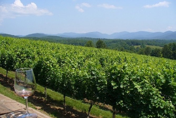 North Georgia Wine Country Tour from Atlanta - The Itinerary Breakdown