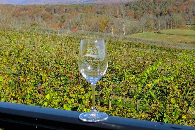 North Georgia Wine Country Tour from Atlanta - Practical Details and Tips