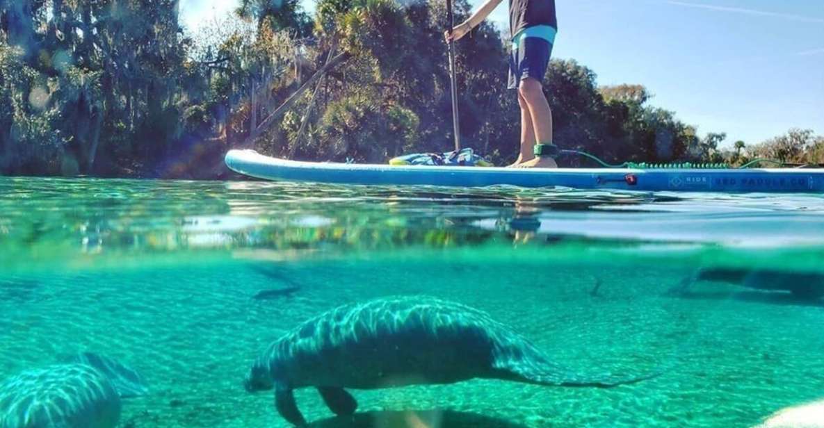 North Miami: Nature & Island Exploration on SUP/Kayak - Exploring the Itinerary: What to Expect