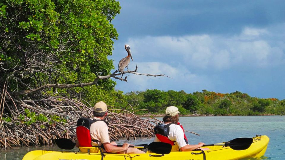 North Miami: Nature & Island Exploration on SUP/Kayak - Value and Practical Details