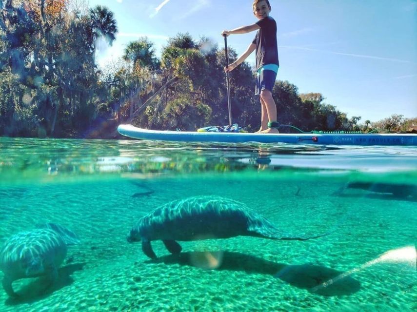 North Miami: Nature & Island Exploration on SUP/Kayak - Authentic Experiences from Reviewers