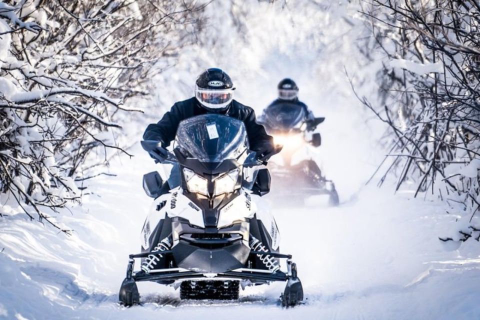 North Pole Alaska: Guided Fairbanks Snowmobile Tour - Introduction: What to Expect from This Fairbanks Snowmobile Tour