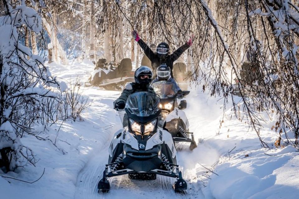 North Pole Alaska: Guided Fairbanks Snowmobile Tour - Guides: The Heart of the Experience