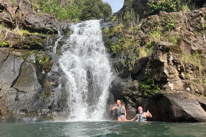 North Shore day,Waterfalls and Turtles Tour - Authentic Insights from Other Reviewers