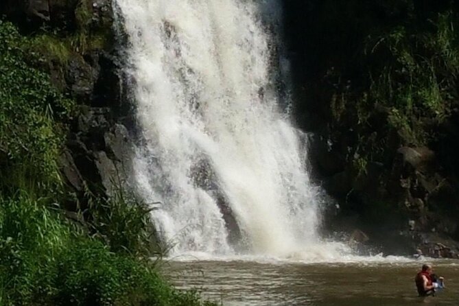 North Shore day,Waterfalls and Turtles Tour - The Sum Up: Who Is This Tour Best For?