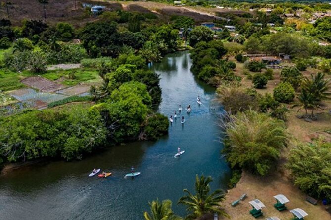 North Shore Farm: Anahulu River, Kayak-Sup, Turtles, Lunch & More - Key Points