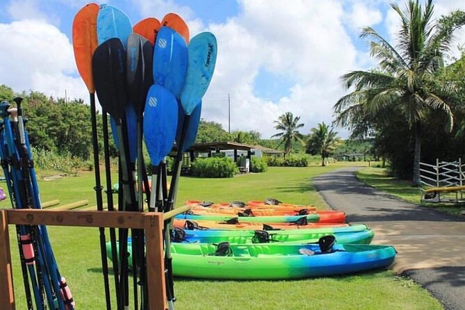 North Shore Farm: Anahulu River, Kayak-Sup, Turtles, Lunch & More - Why This Tour Stands Out