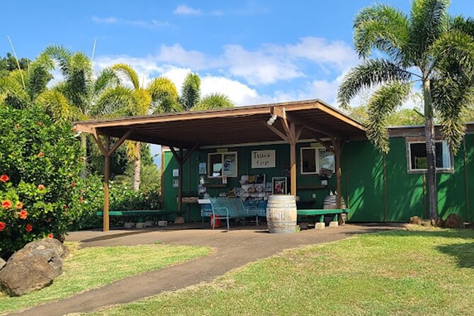 North Shore Farm: Anahulu River, Kayak-Sup, Turtles, Lunch & More - Is This Tour for You?
