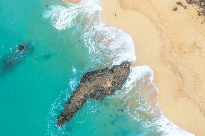 North Shore of Oahu Private Full-Day Tour with Local Guide - FAQ