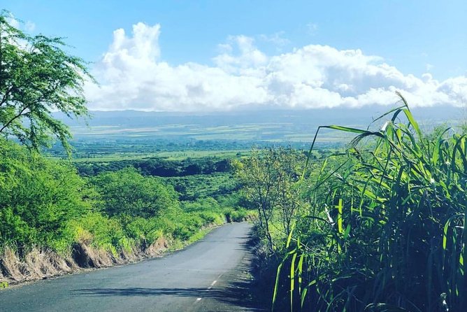 North Shore Tour Guide Hike - The Itinerary Breakdown