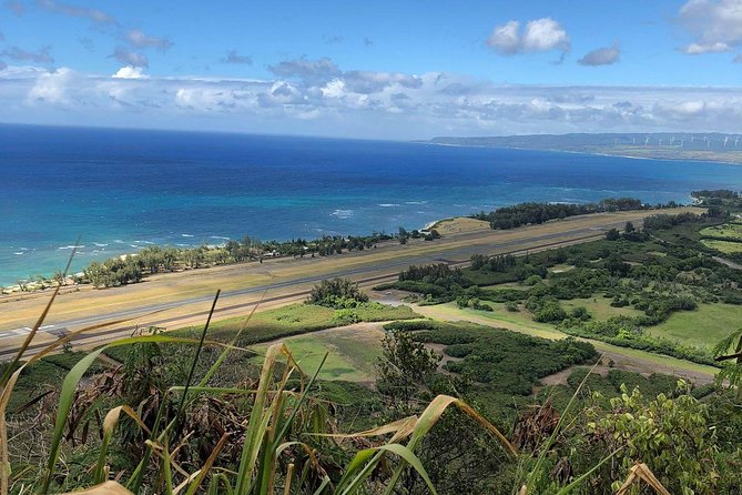 North Shore Tour Guide Hike - Authentic Experiences and Insights from Reviewers