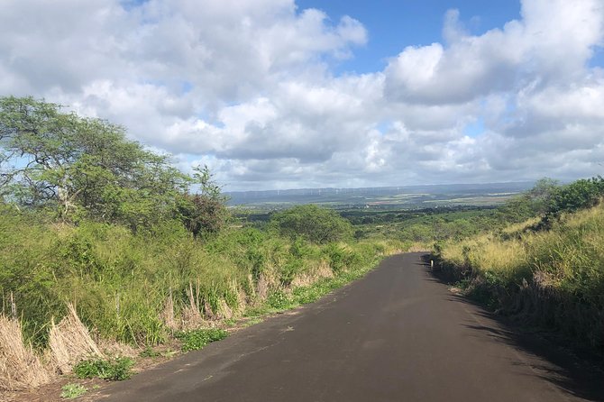 North Shore Tour Guide Hike - Why This Tour Is Worth It